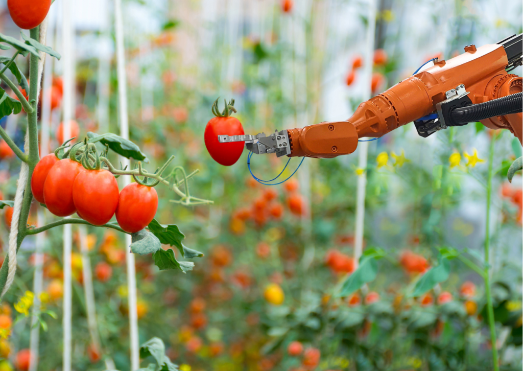 How are robotics and automation changing the food industry? - RNA ...
